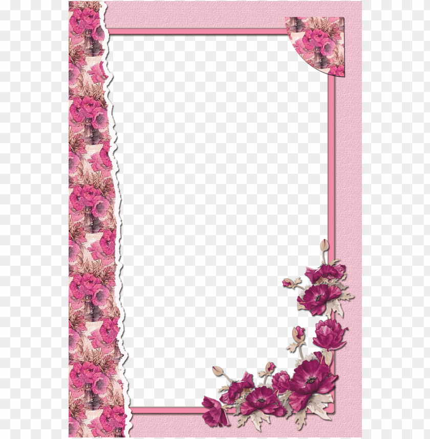 Free download | HD PNG transparent flower pink frame background best ...