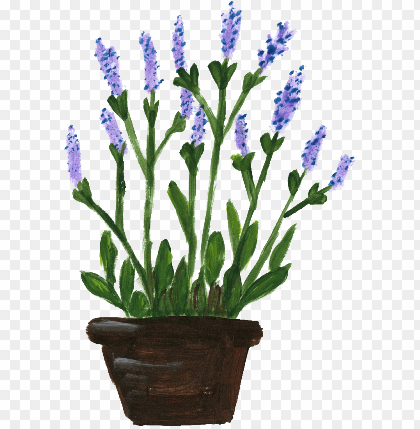 Free download | HD PNG transparent flower pot PNG transparent with ...