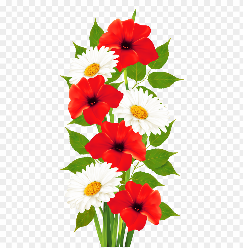 Free download | HD PNG transparent flowers PNG transparent with Clear ...