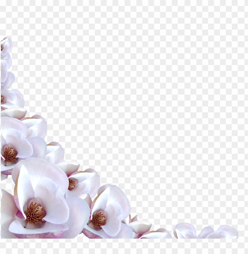 Free download | HD PNG transparent flowers border PNG transparent with ...