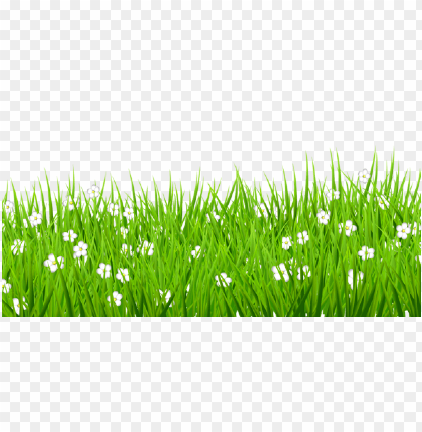 Free download | HD PNG PNG image of transparent grass with white ...