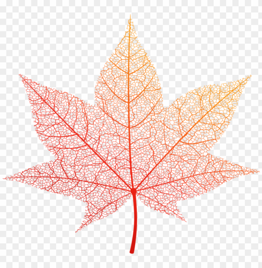 Free download | HD PNG transparent orange autumn leaf clipart png photo - 54423 | TOPpng