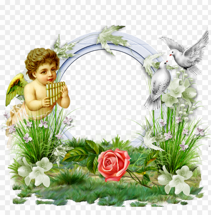 Free download | HD PNG transparent photo frame with angel and doves ...