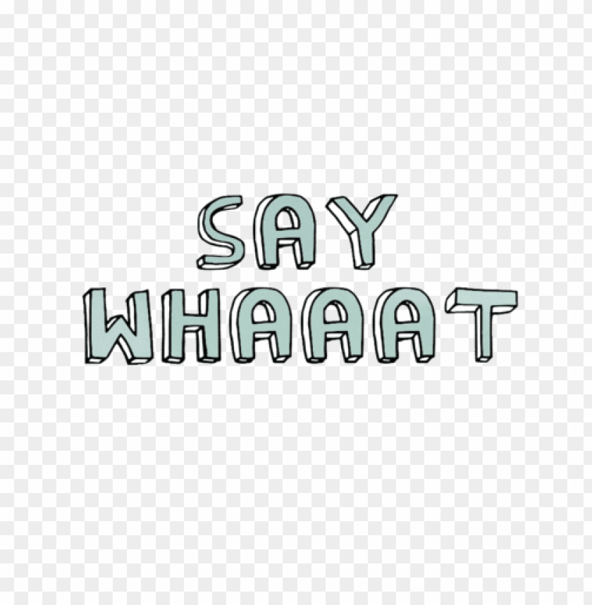 Free download | HD PNG transparent polaroid quote PNG transparent with ...