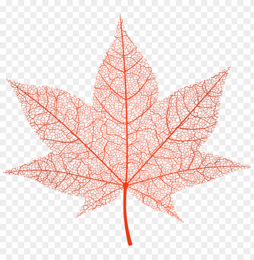 Free download | HD PNG transparent red autumn leaf clipart png photo ...