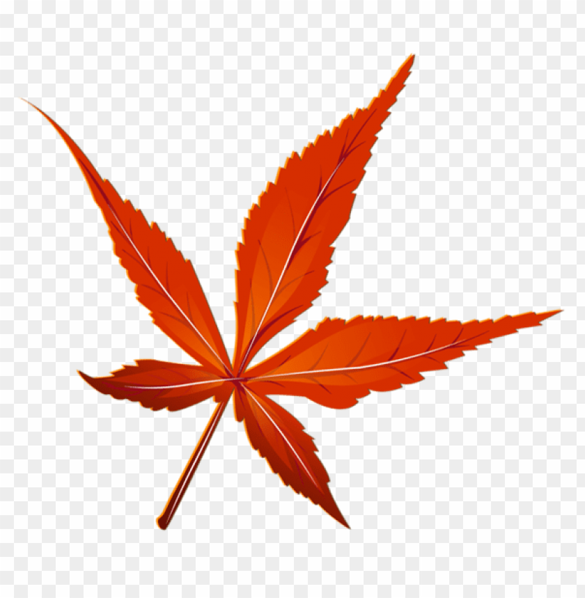 Free download | HD PNG transparent red leaf picture clipart png photo ...