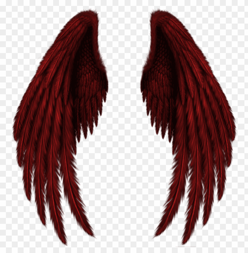 Free download | HD PNG transparent red wingspicture clipart png photo ...