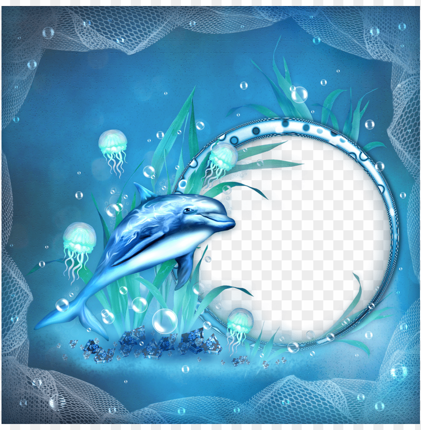Free download | HD PNG transparent sea frame with dolphin background ...