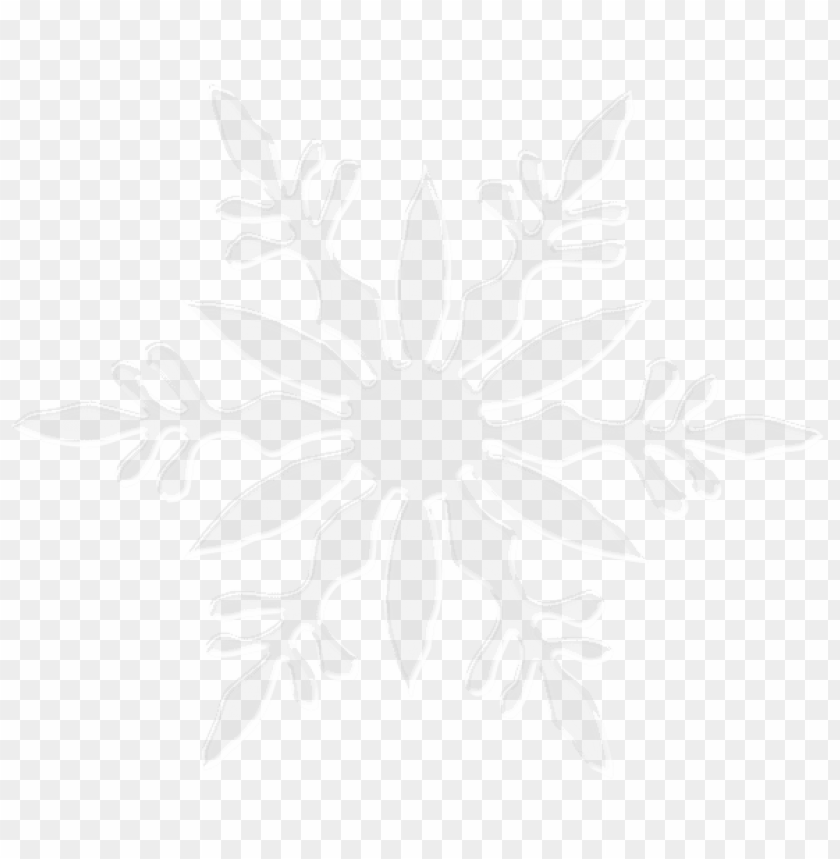 Free download | HD PNG transparent snowflake PNG Images 42487 | TOPpng