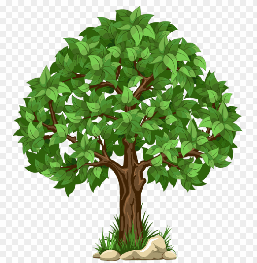 Free download | HD PNG PNG image of green tree with dense leaves with a ...