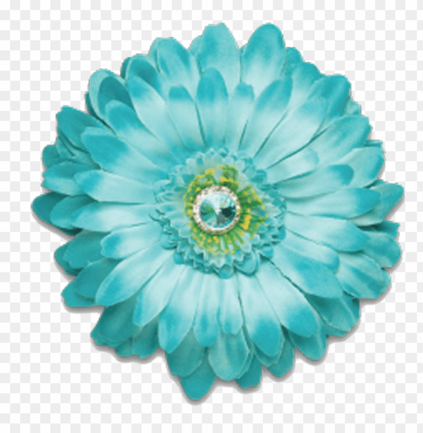 Free download | HD PNG transparent turquoise flowers PNG transparent ...