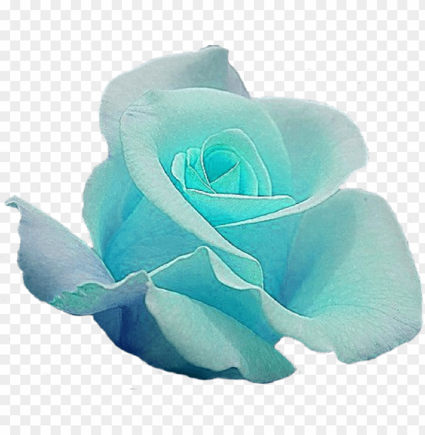 Free download | HD PNG transparent turquoise flowers PNG transparent ...