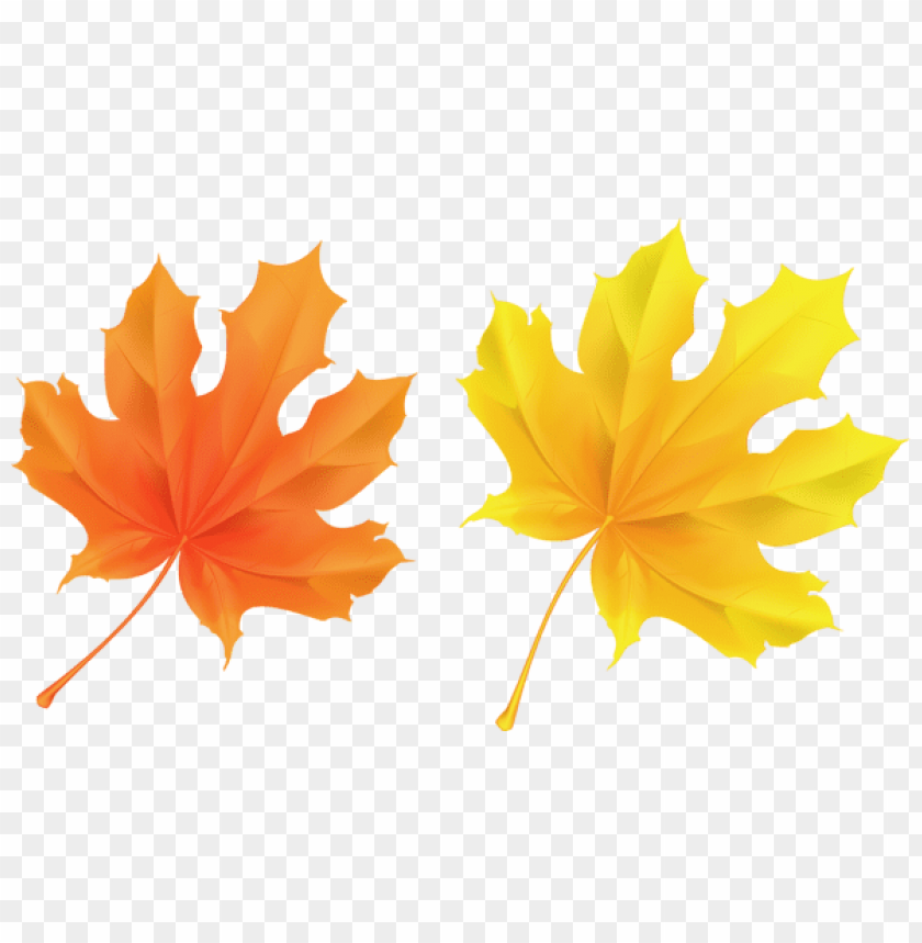 Free download | HD PNG transparent yellow and orange leaves picture ...