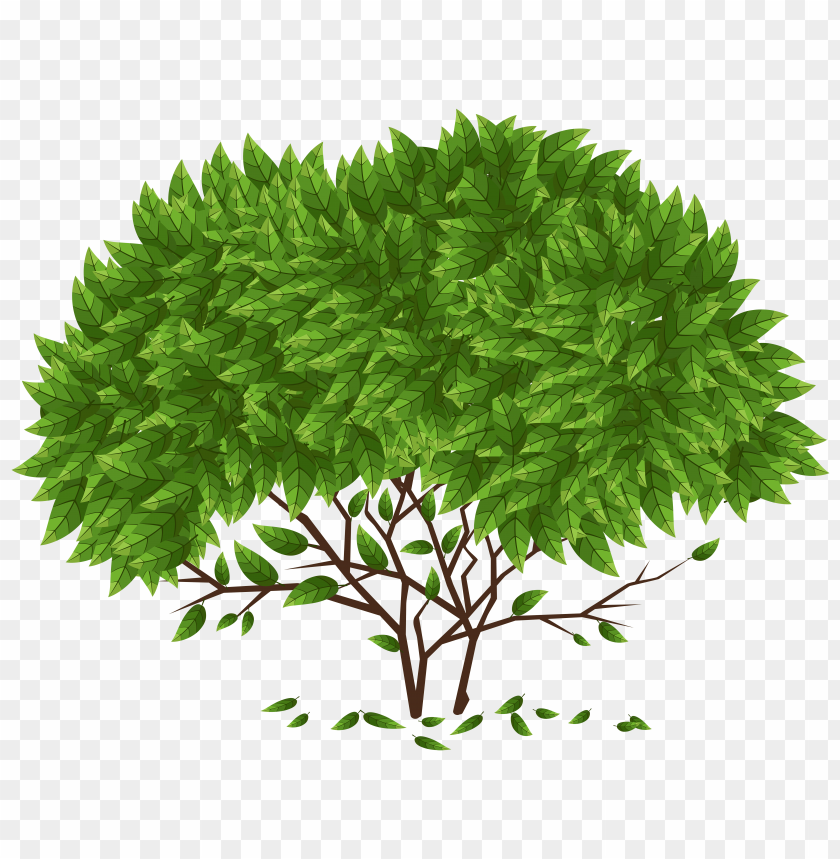 Free download | HD PNG lush green tree clipart clipart png photo ...