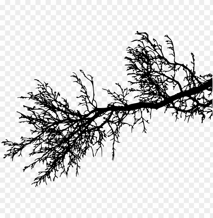 Free download | HD PNG Transparent silhouette of branch with leaves png ...