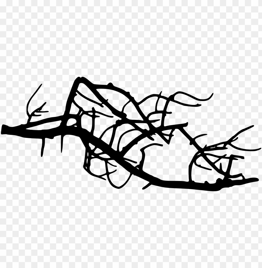 Free download | HD PNG Transparent tree branch PNG Image - ID 4189 | TOPpng