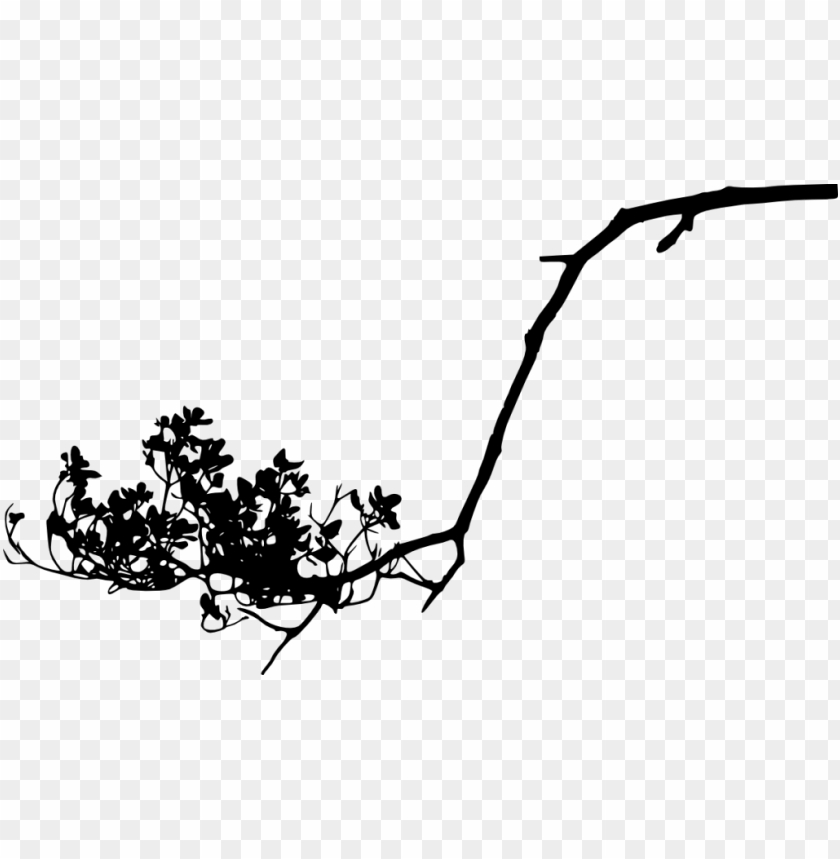 Free download | HD PNG Transparent silhouette of tree branches with ...