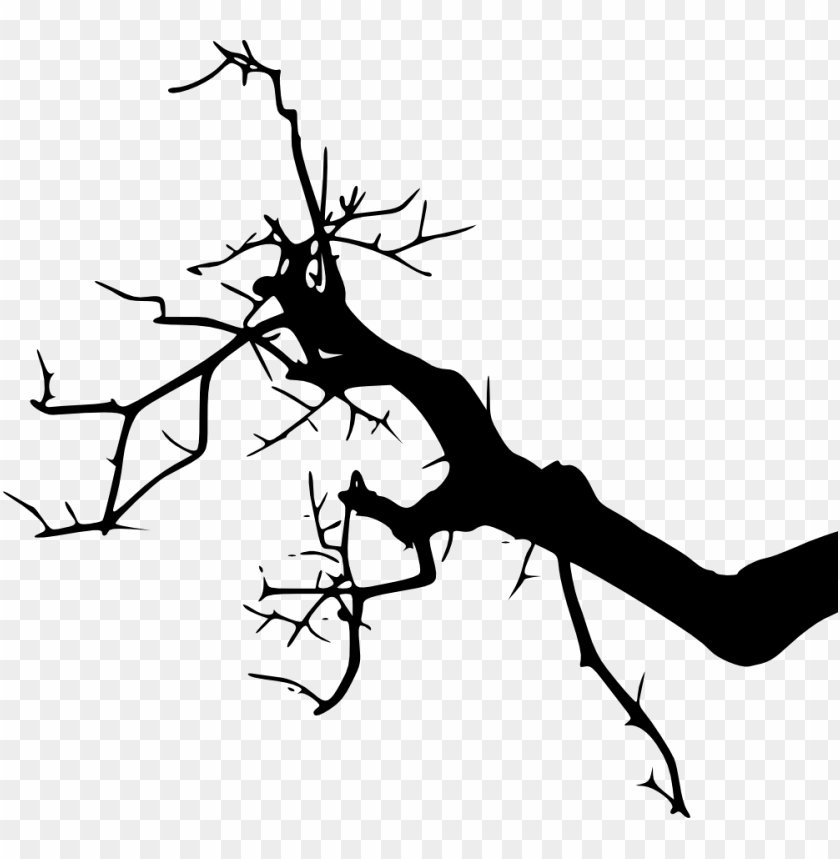 Free download | HD PNG Transparent silhouette of a wide branch with ...