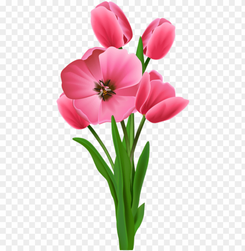 Free download | HD PNG tree flower PNG transparent with Clear ...