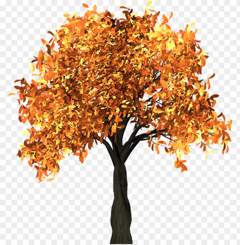 Free download | HD PNG tree leaves autumn fall branches isolated nature ...