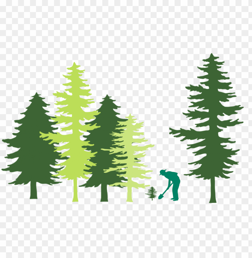 Free download | HD PNG tree planting in forest illustration united ...
