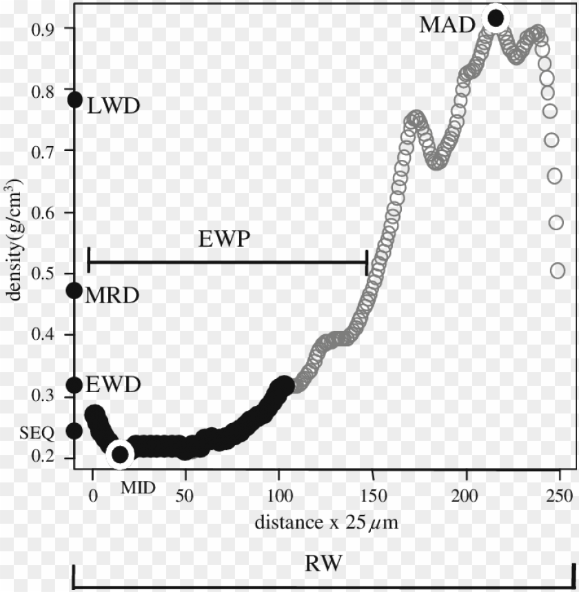 Free download | HD PNG tree rings density values calculated from a ...