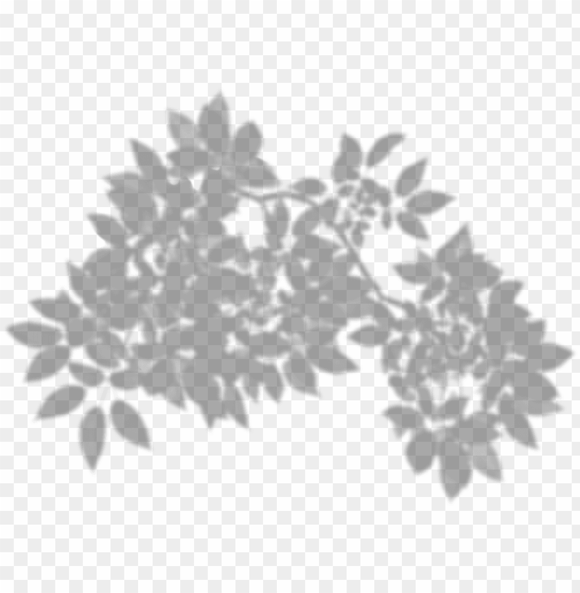 Free download | HD PNG tree shadow png clip art transparent leaf shadow ...