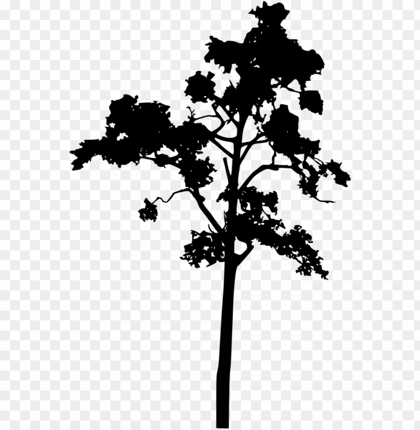 Free download | HD PNG Transparent silhouette of a tall pine tree png ...