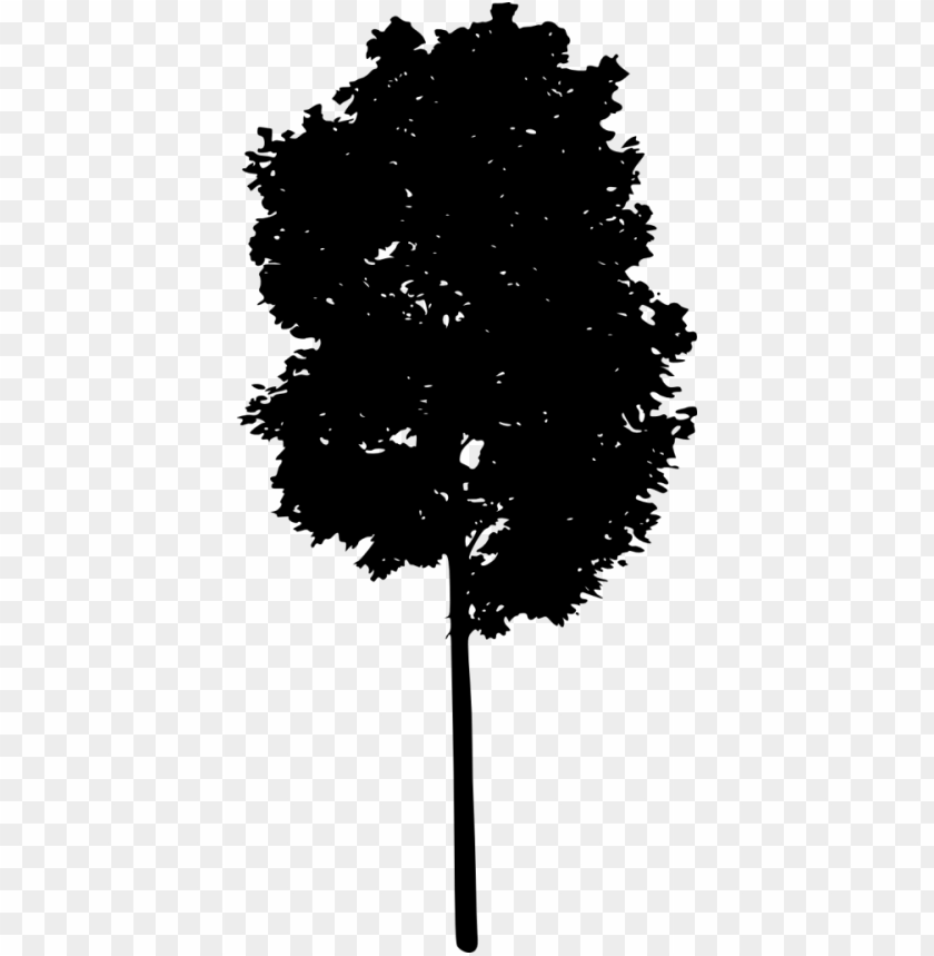 Free download | HD PNG Transparent silhouette of a tall tree with wide ...