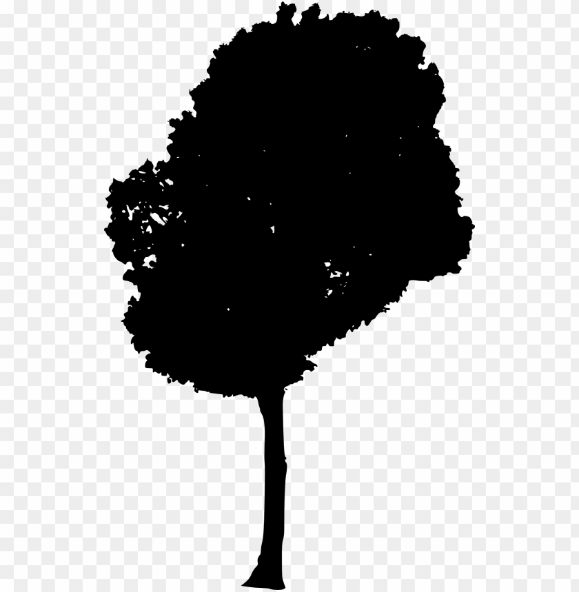 Free download | HD PNG Transparent silhouette of tree with narrow trunk ...