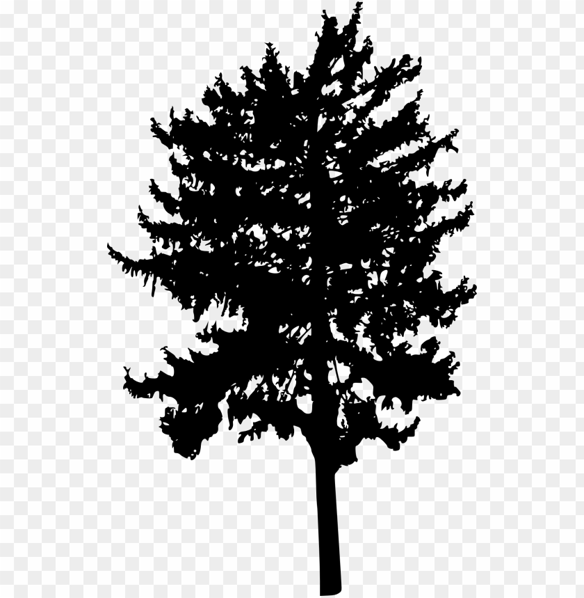 Free download | HD PNG Transparent silhouette of tree with long ...