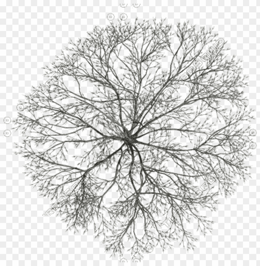 Free download | HD PNG tree tops collection black top tree PNG ...