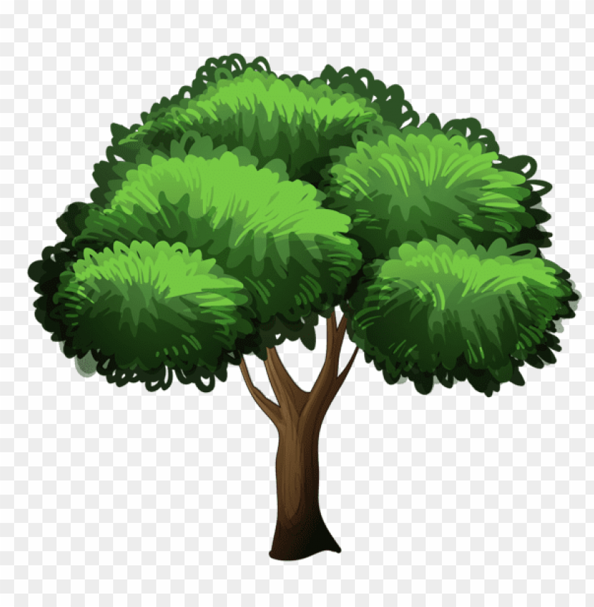 Free download | HD PNG PNG image of tree transparent picture with a ...