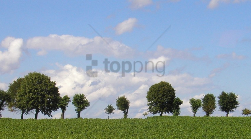 Free download | HD PNG trees background image background best stock ...