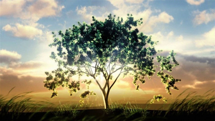 Free download | HD PNG trees background image background best stock ...