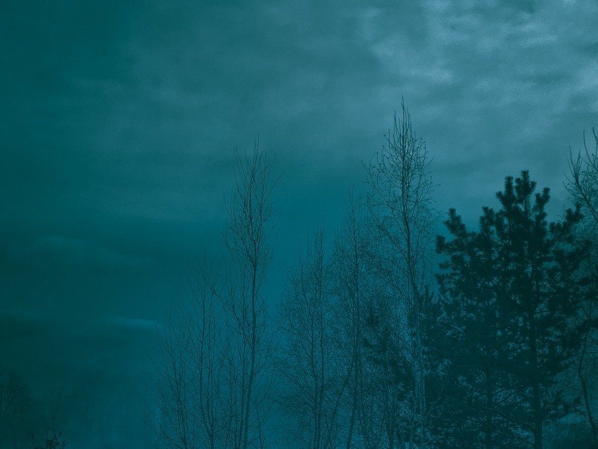 Free download | HD PNG trees night moonlight twilight haze 4k wallpaper ...