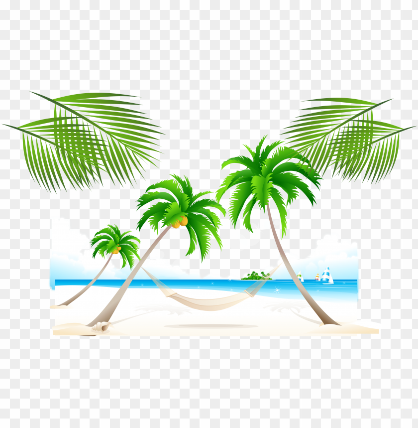 Free download | HD PNG trees on the beach clipart PNG transparent with ...