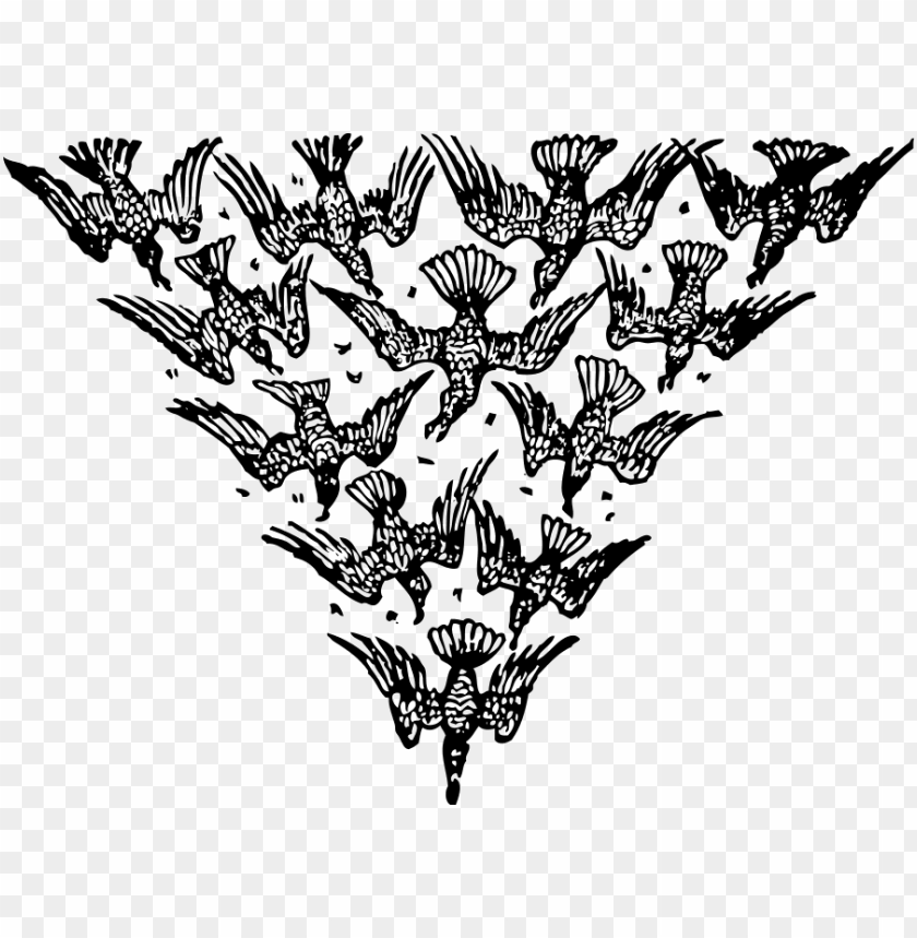 Free download | HD PNG triangle of birds PNG transparent with Clear ...
