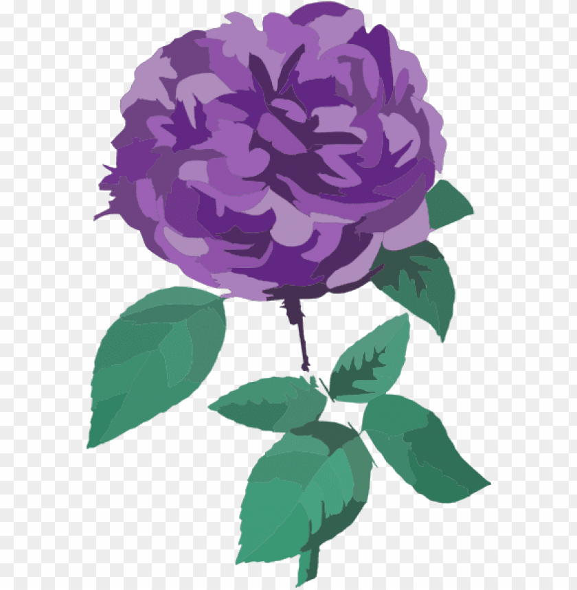 Free download | HD PNG tropical leaves clipart flower vector no ...