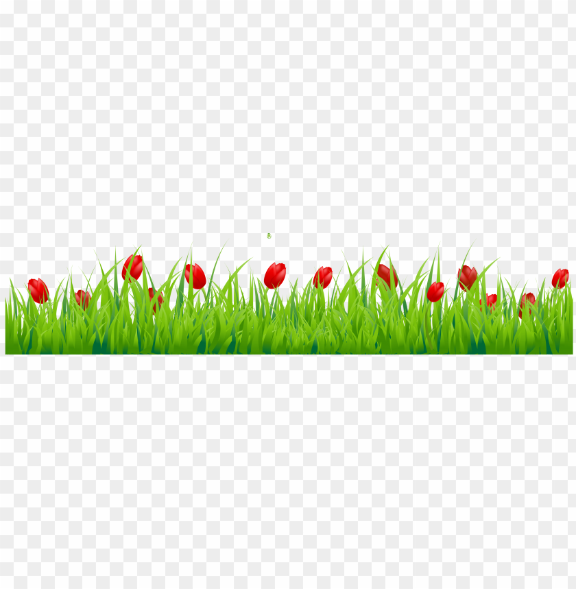 Free download | HD PNG PNG image of field of tulips png with a clear ...