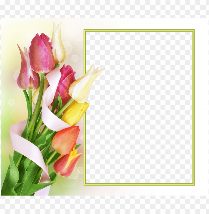 Free download | HD PNG tulipsphoto frame background best stock photos ...