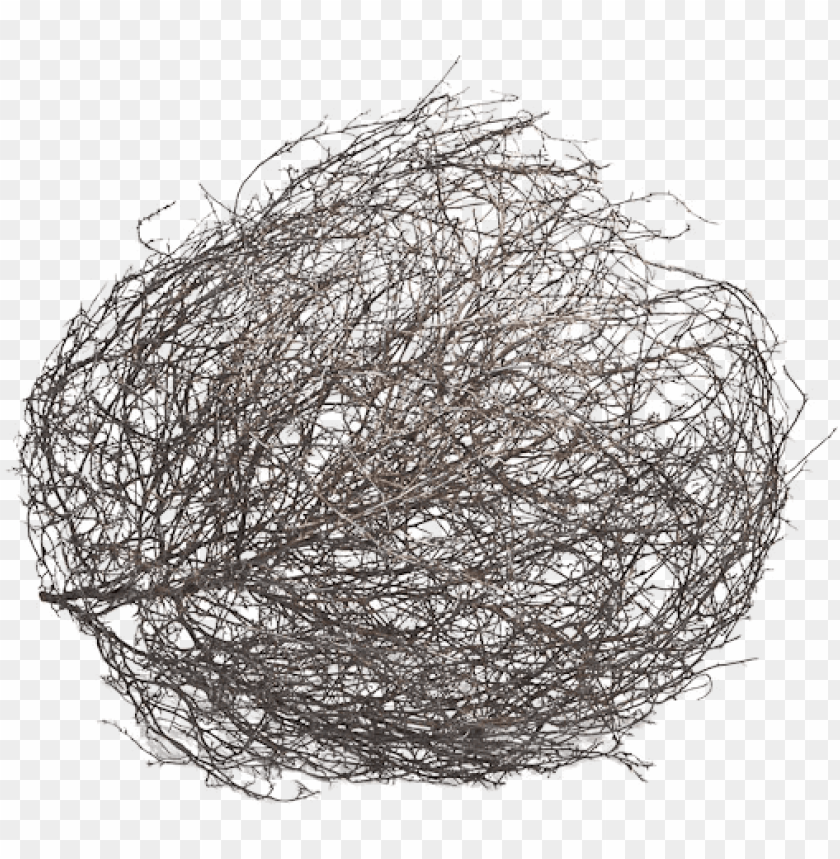 Free download | HD PNG tumbleweedlayers tumbleweed drawi PNG ...