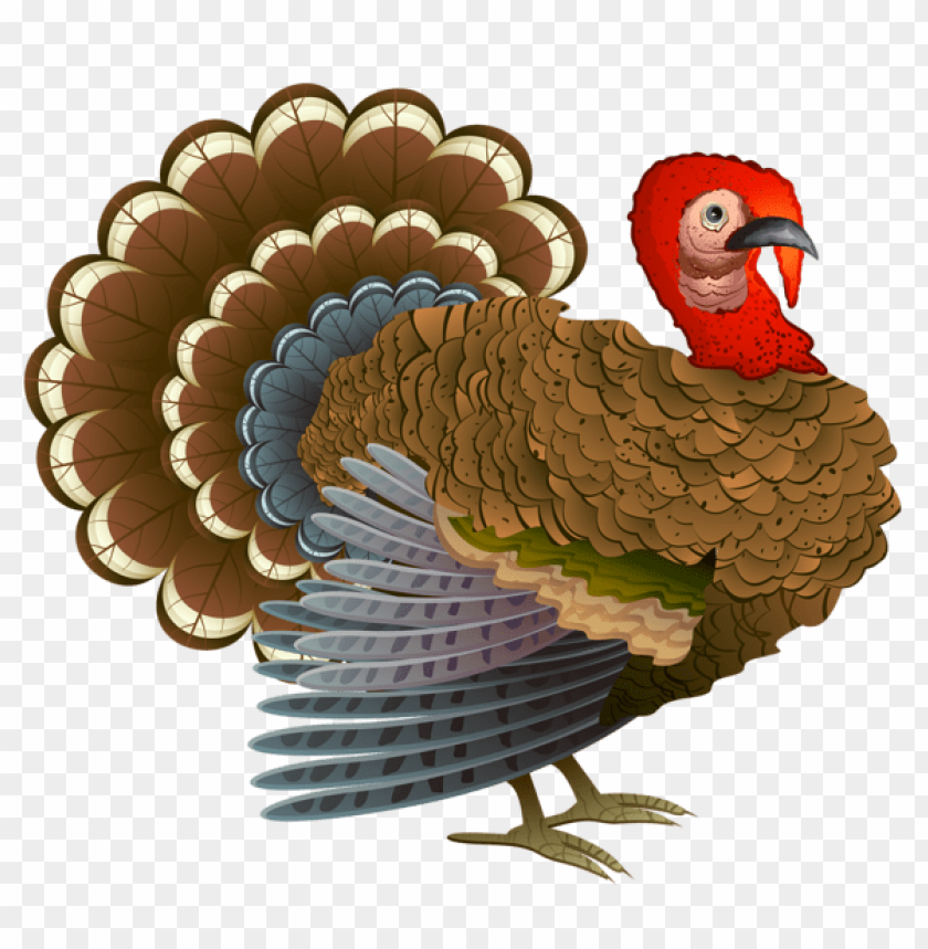 Free download | HD PNG turkey png images background - image ID is 53873 ...