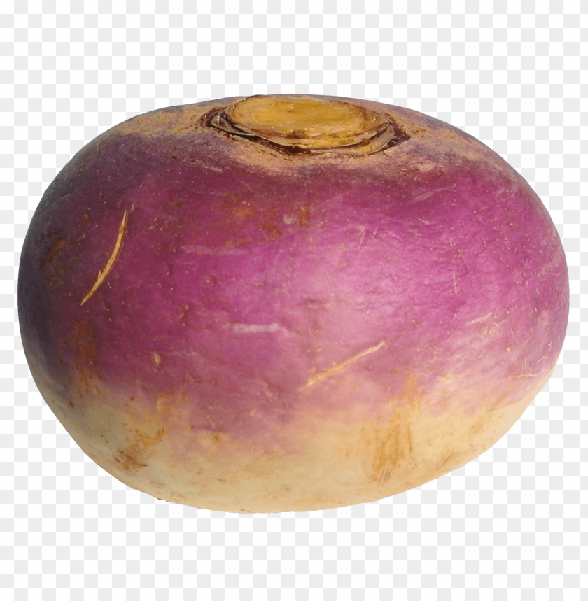 Free download | HD PNG turnip PNG images with transparent backgrounds ...