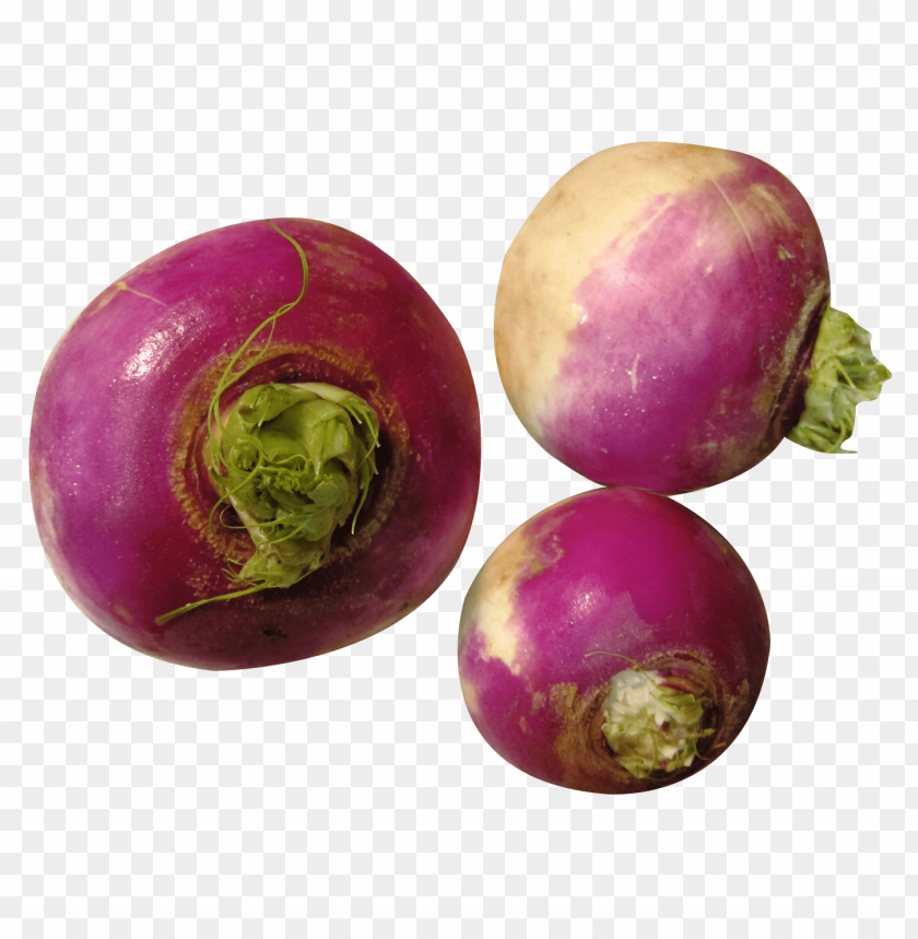 Free download | HD PNG turnip PNG images with transparent backgrounds ...