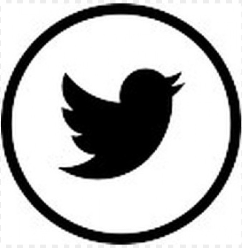 Free download | HD PNG twitter png - Free PNG Images ID 39037 | TOPpng