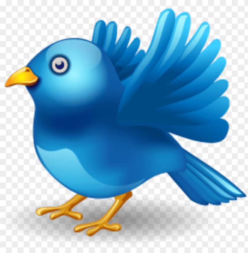 Free download | HD PNG twitter bird PNG transparent with Clear ...