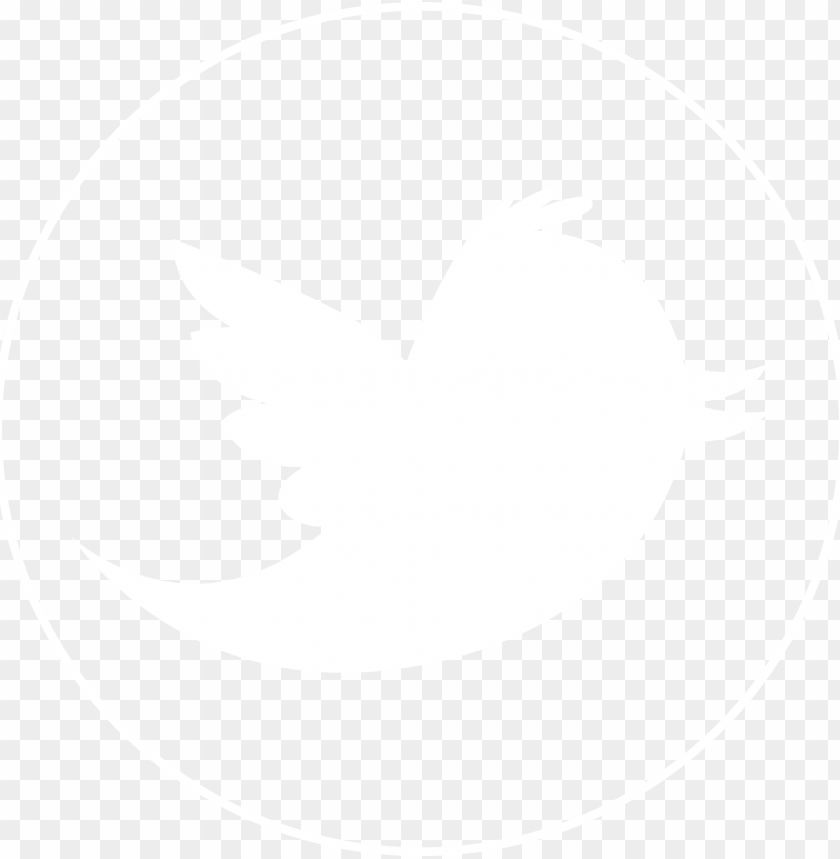 Free download | HD PNG twitter bootstrap3 for ladies PNG transparent ...