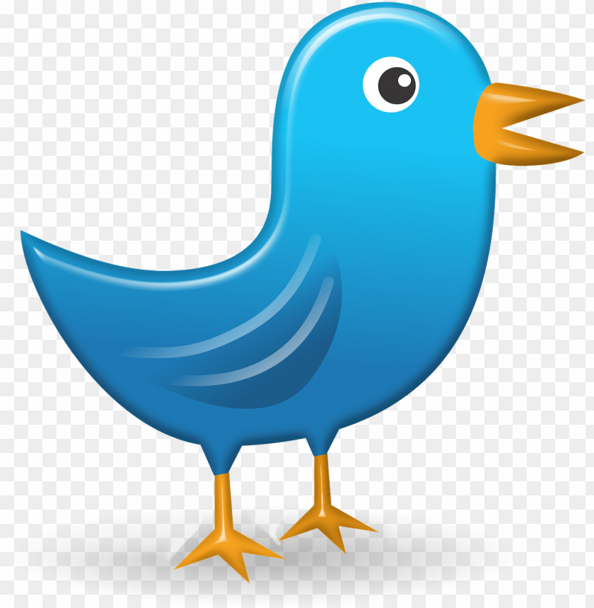 Free download | HD PNG twitter icon web network bird png image bird ...