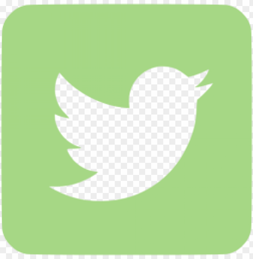 Free download | HD PNG green twitter bird logo png | TOPpng